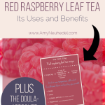 Red raspberry leaf tea: The recipe, uses, and benefits