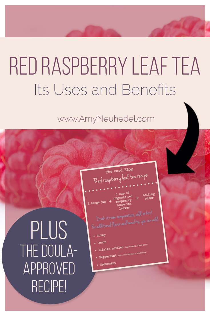 Red raspberry leaf tea: The recipe, uses, and benefits